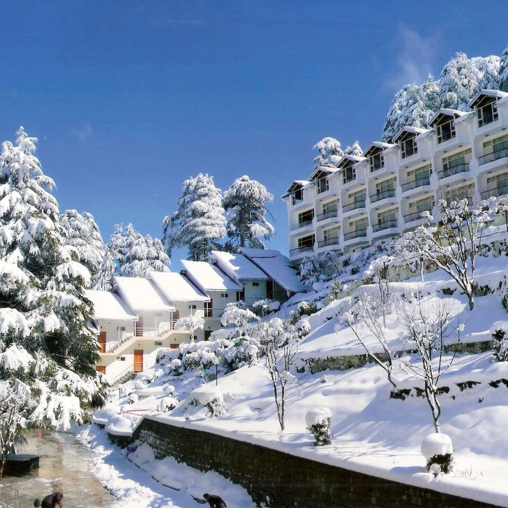 Book Best Patnitop Packages Online : Om Sai Tour And Travels